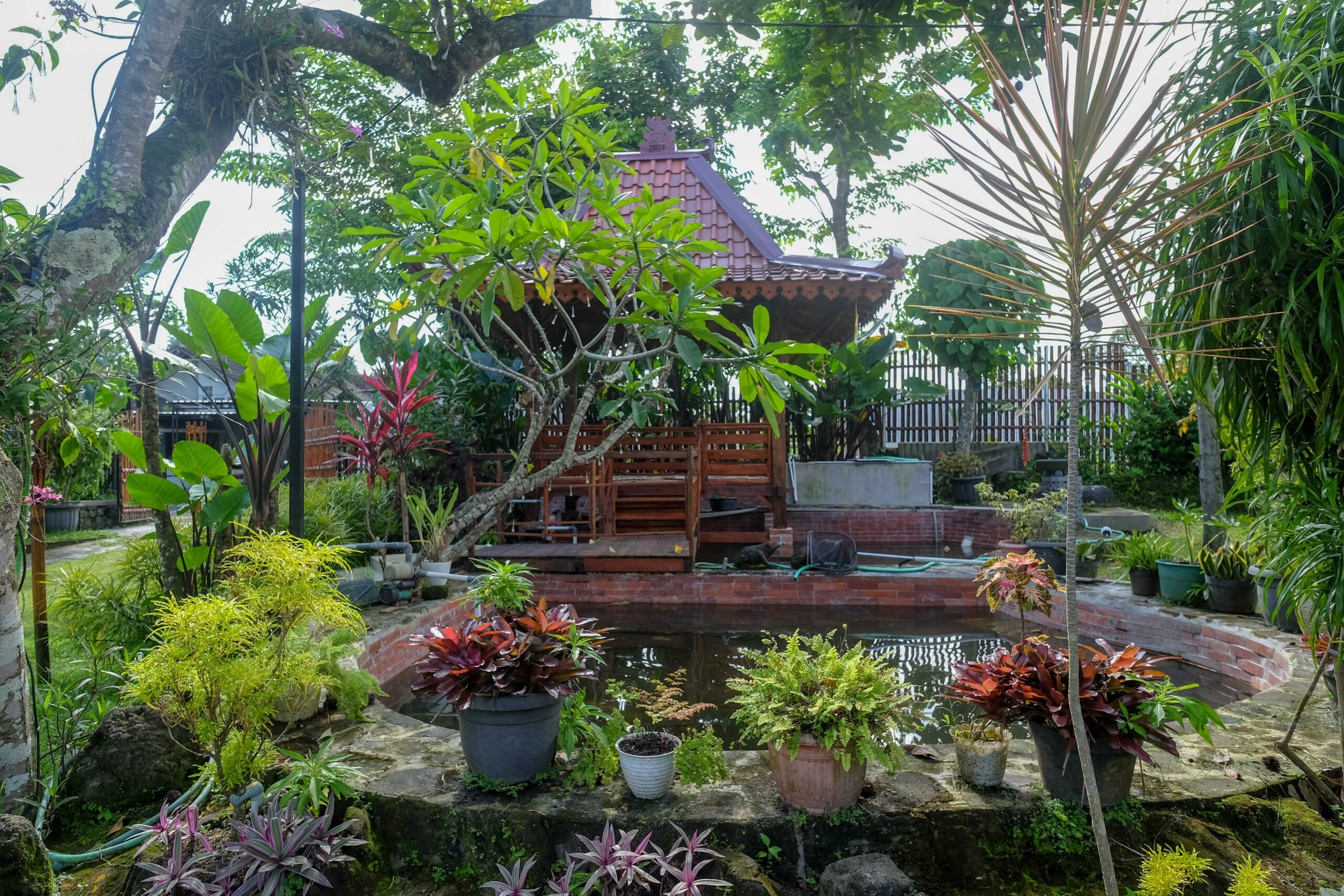 Explore – The Lavana